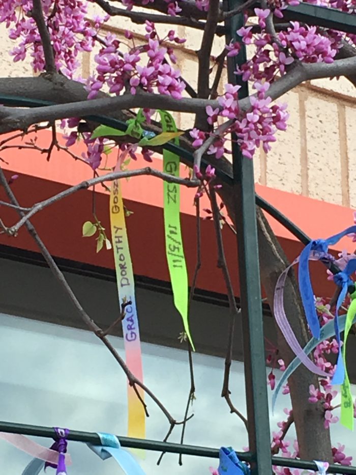 NICU graduates leave their mark -- and their names -- on a special ...